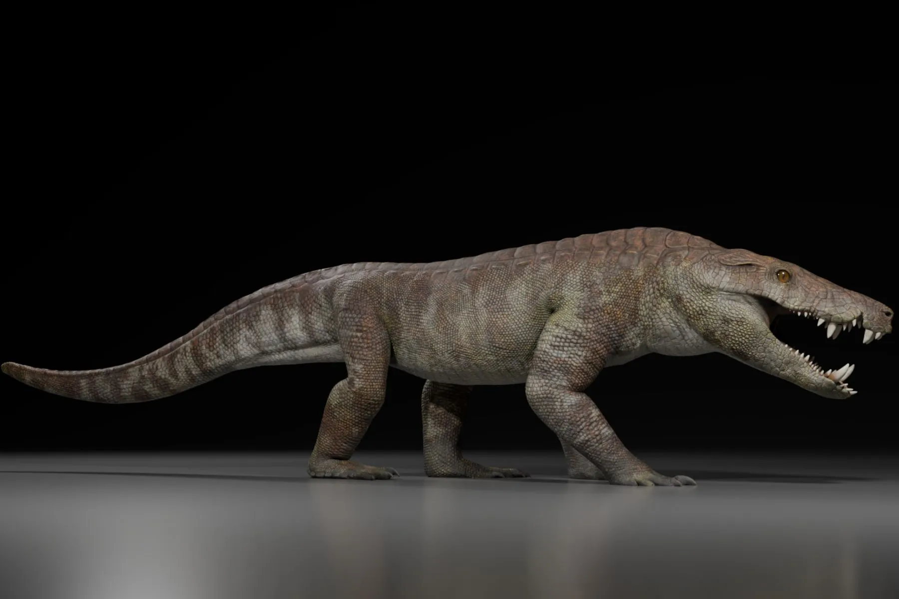A new prehistoric predator, the fierce crocodile Kostensuchus atrox ...