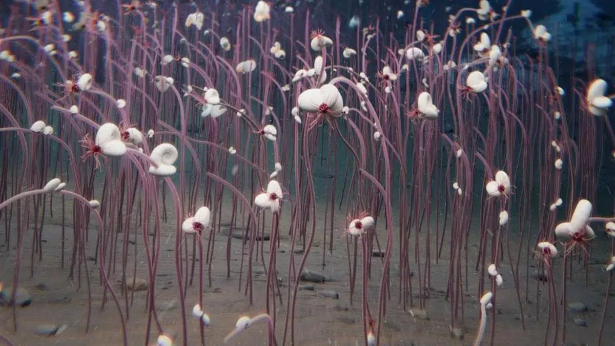 Descoberta inédita: ecossistemas quimiosintéticos encontrados a mais de ...