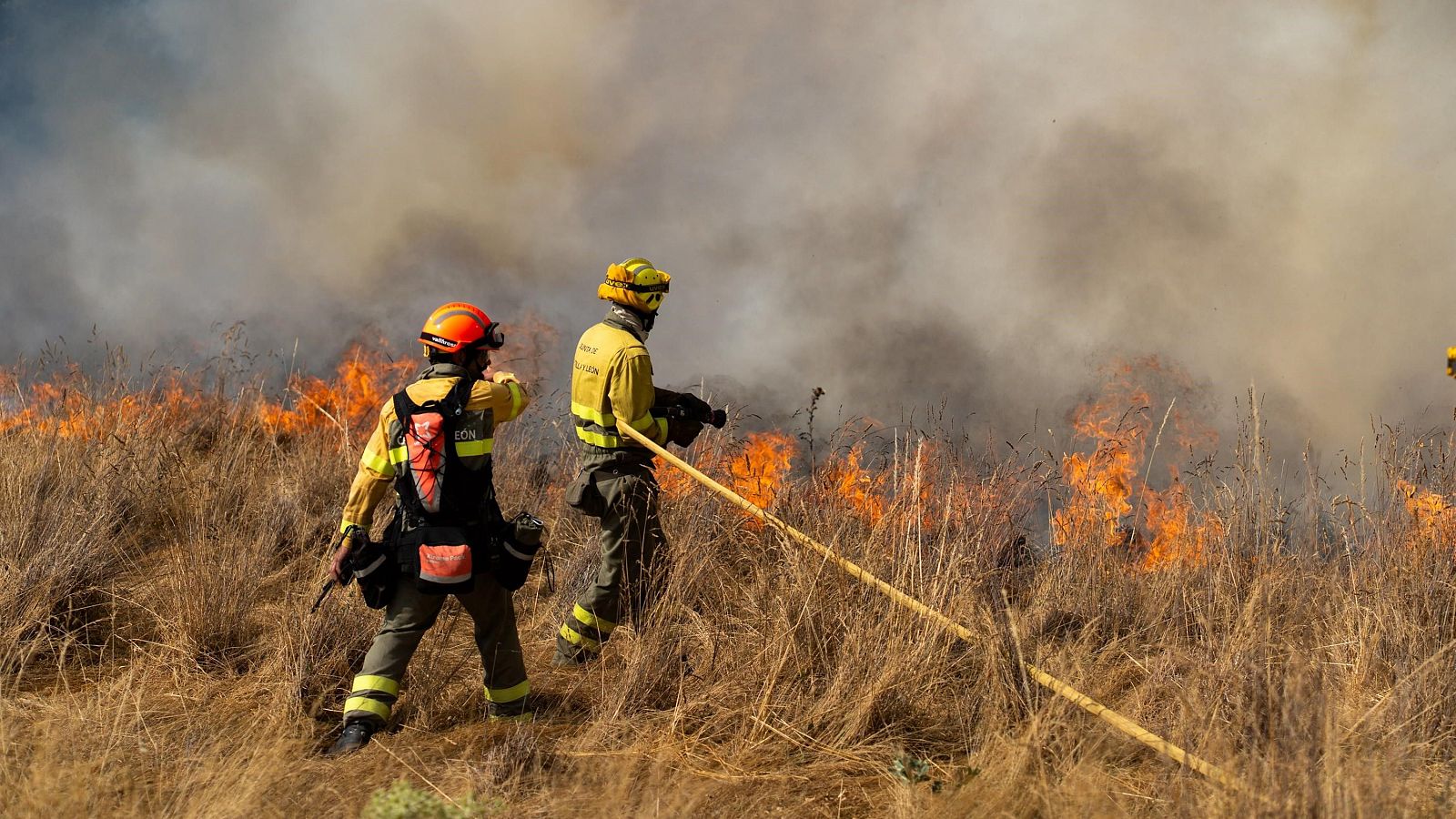 Confirmed: Climate change made forest fires 40 times more likely in the Iberian Peninsula ...