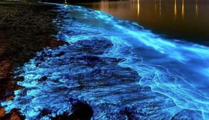 Blue-dyed beach: the amazing natural phenomenon in Australia that ...