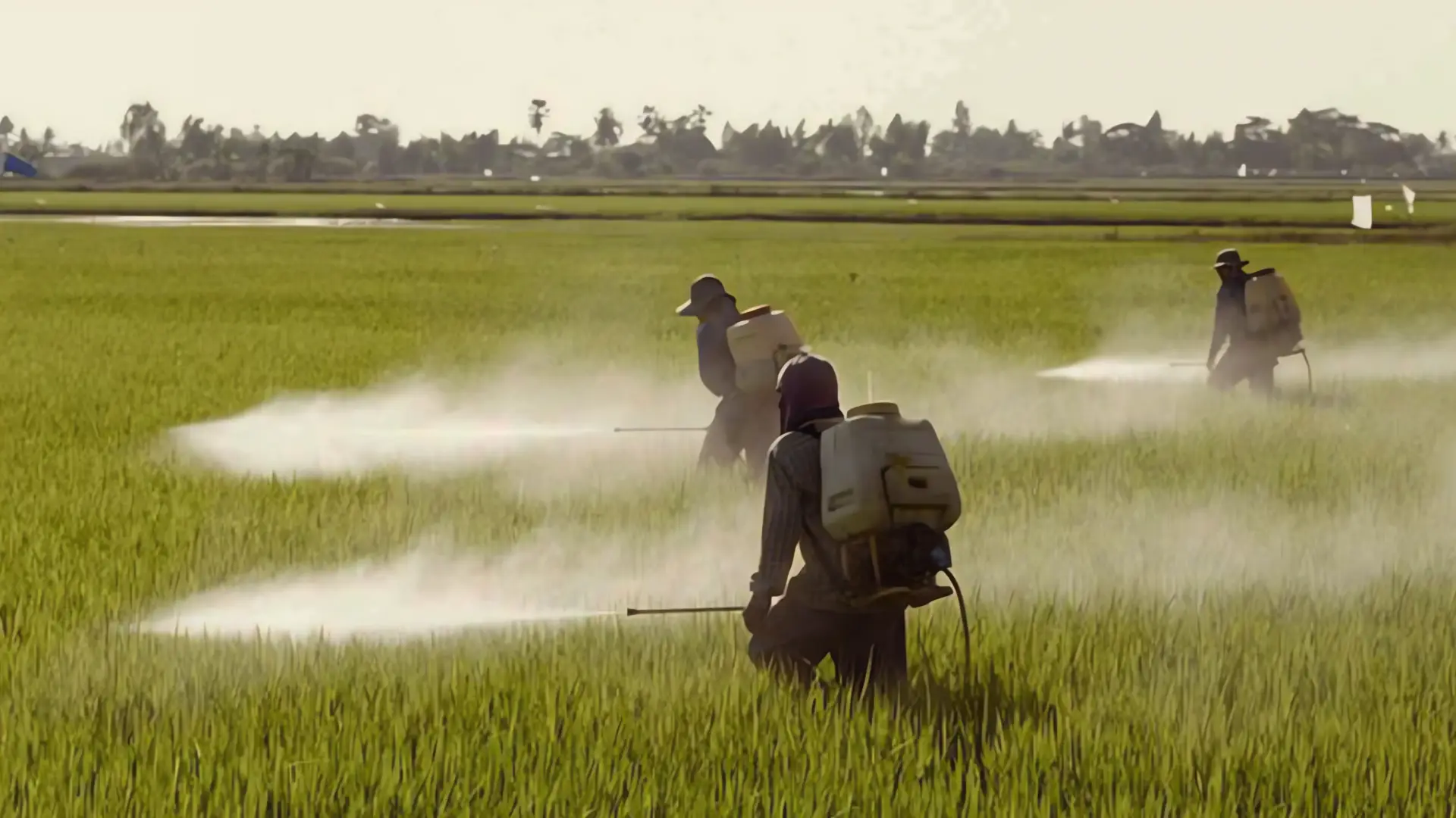 México prohíbe 35 plaguicidas altamente tóxicos