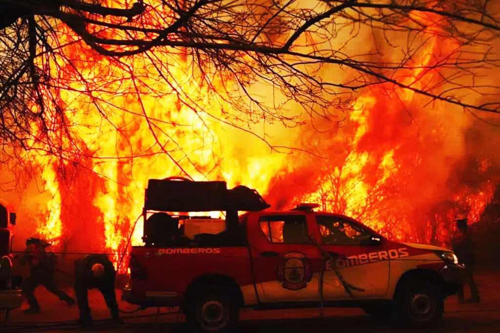 Red alert: ten provinces are at extreme risk of wildfires this summer ...