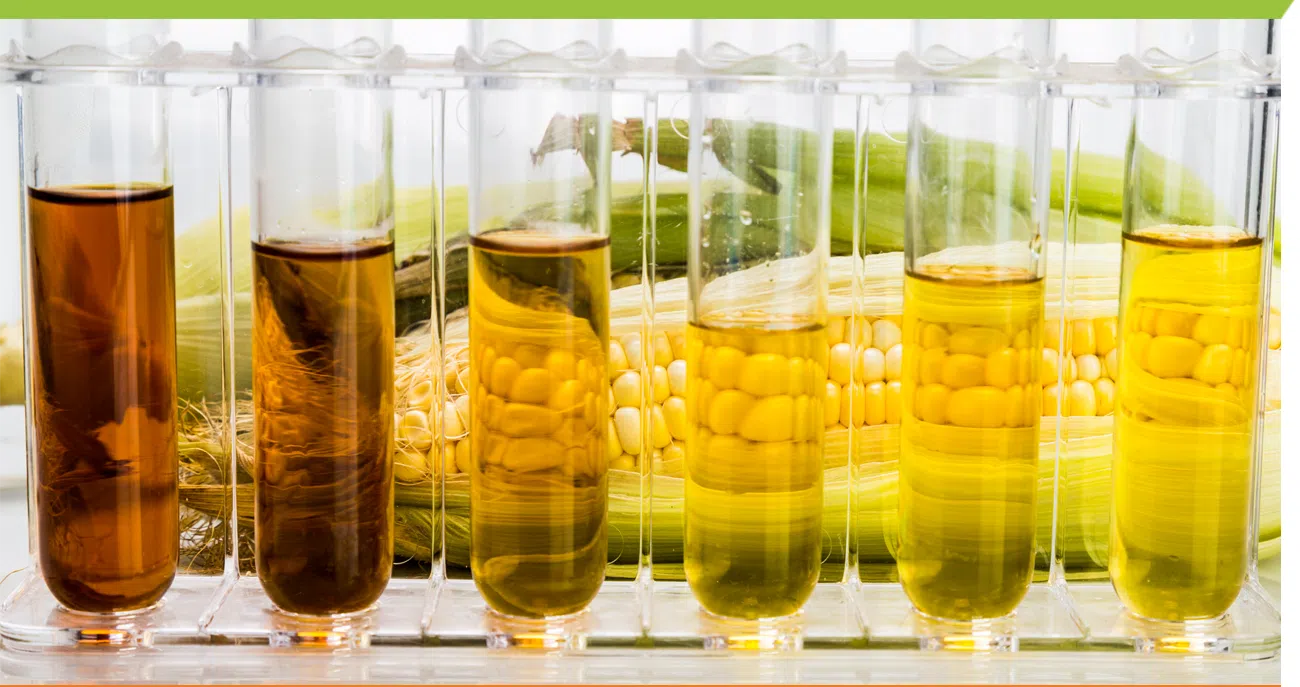 Future Biofuels: Science, Waste, and Efficiency for a Real Energy ...