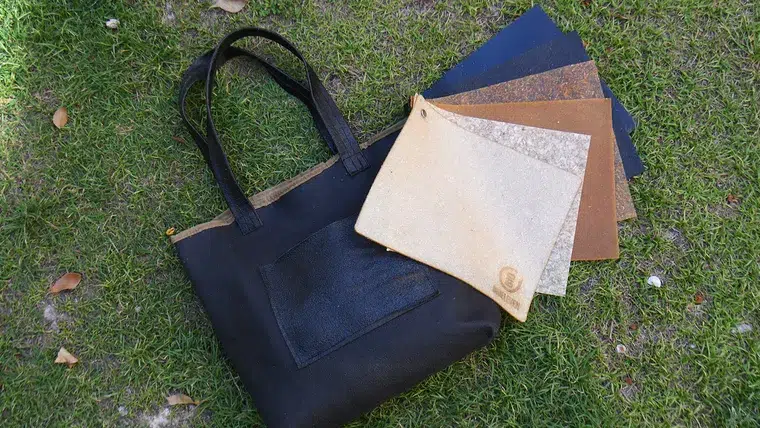 From Waste to Design: Women from Mendoza Create Biodegradable Bags from ...