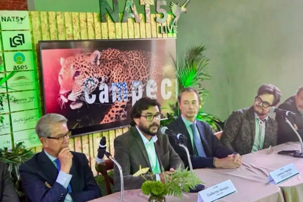 Mexico launches over one million nature credits, marking a milestone in ...