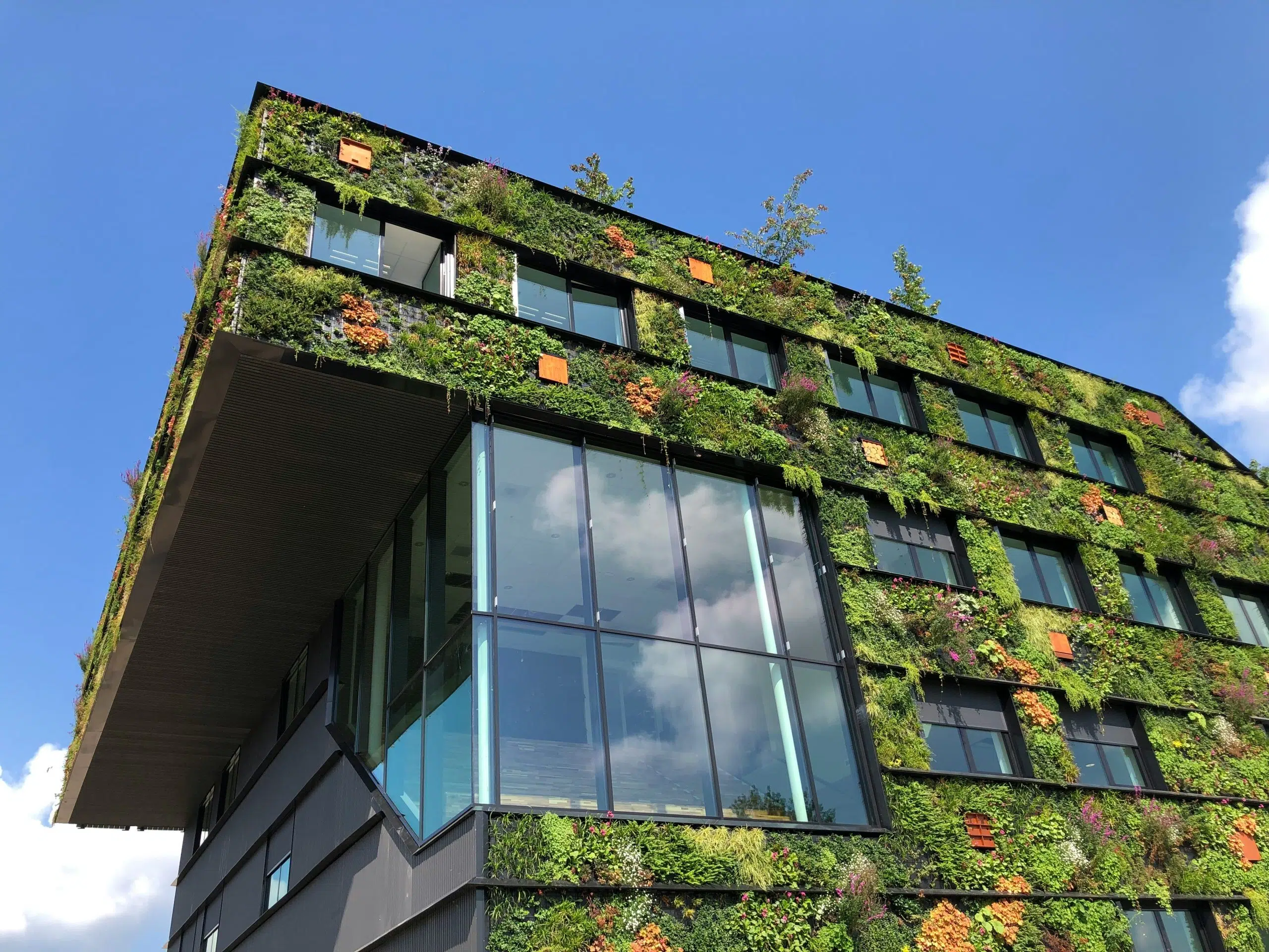 Construir sin destruir: los materiales ecológicos que transforman la ...