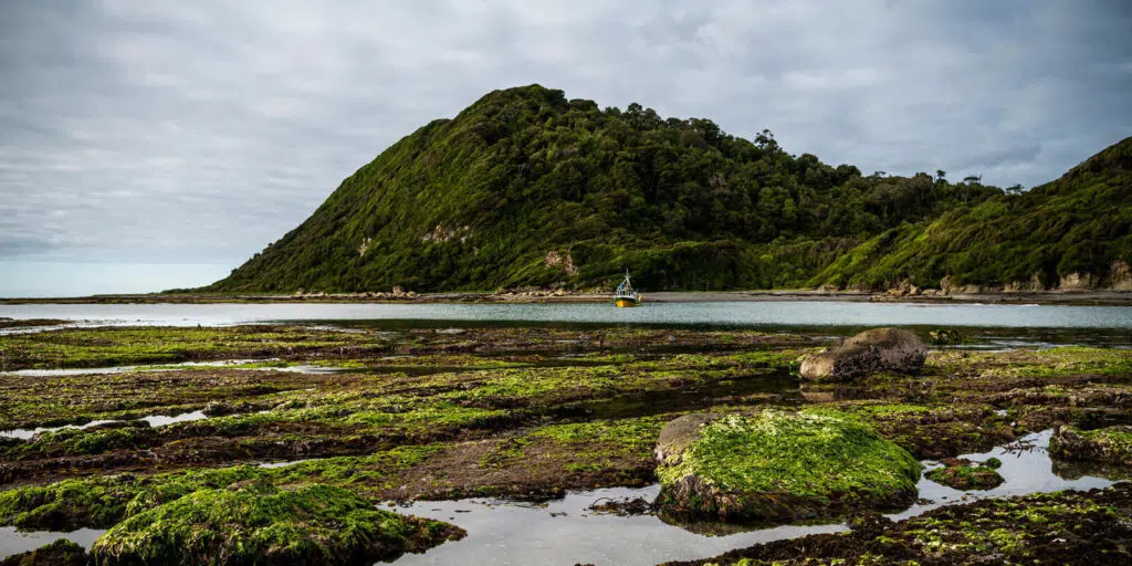 Chile: Leonardo DiCaprio and his NGO purchase a key island for ...