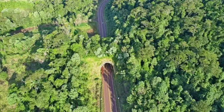 Missions promotes the creation of ecological and tourist corridors to ...