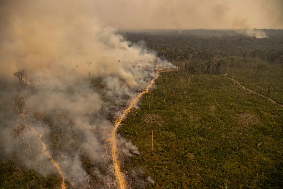 The Amazon faced over 12,500 climate disasters in a decade, and many of ...
