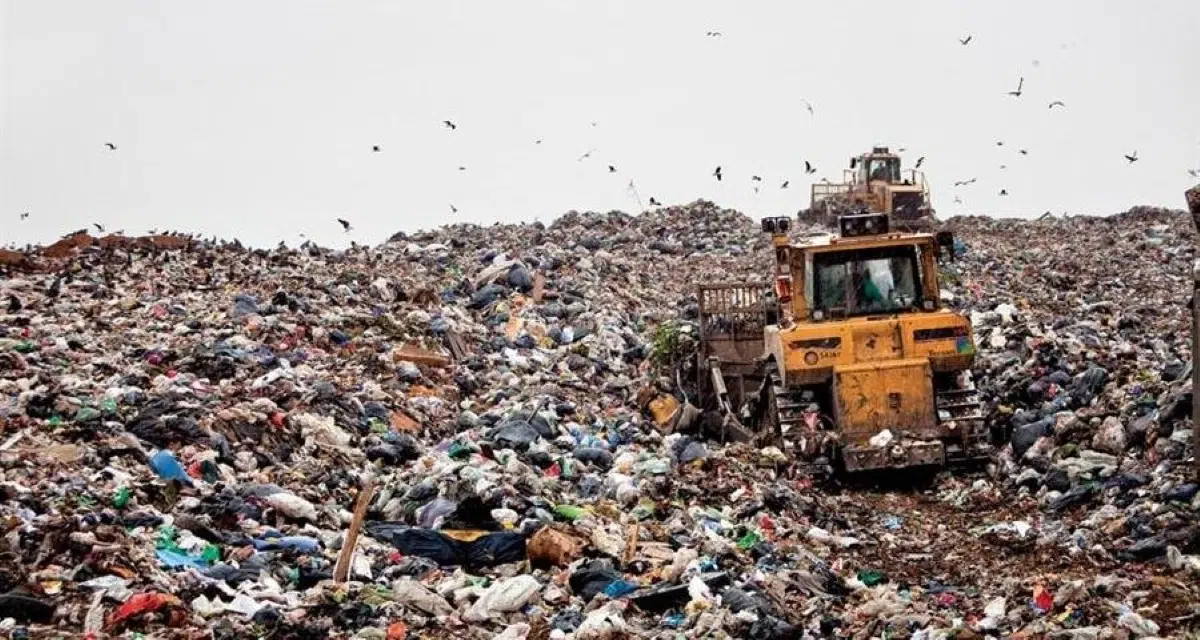 French authorities accuse a businessman and his daughter of illegally ...