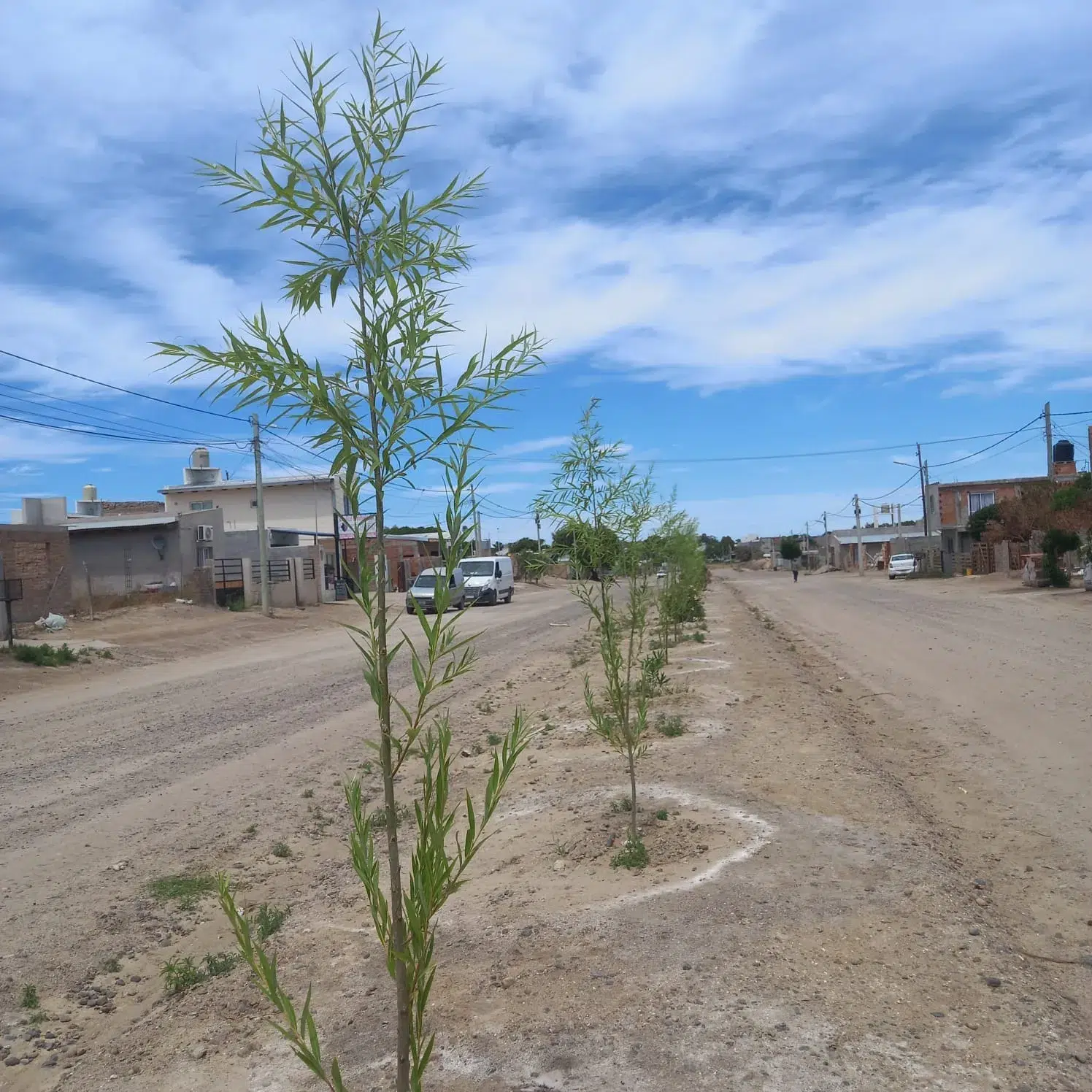 Turning Wastewater into Green Life: The Effluent Irrigation Project ...
