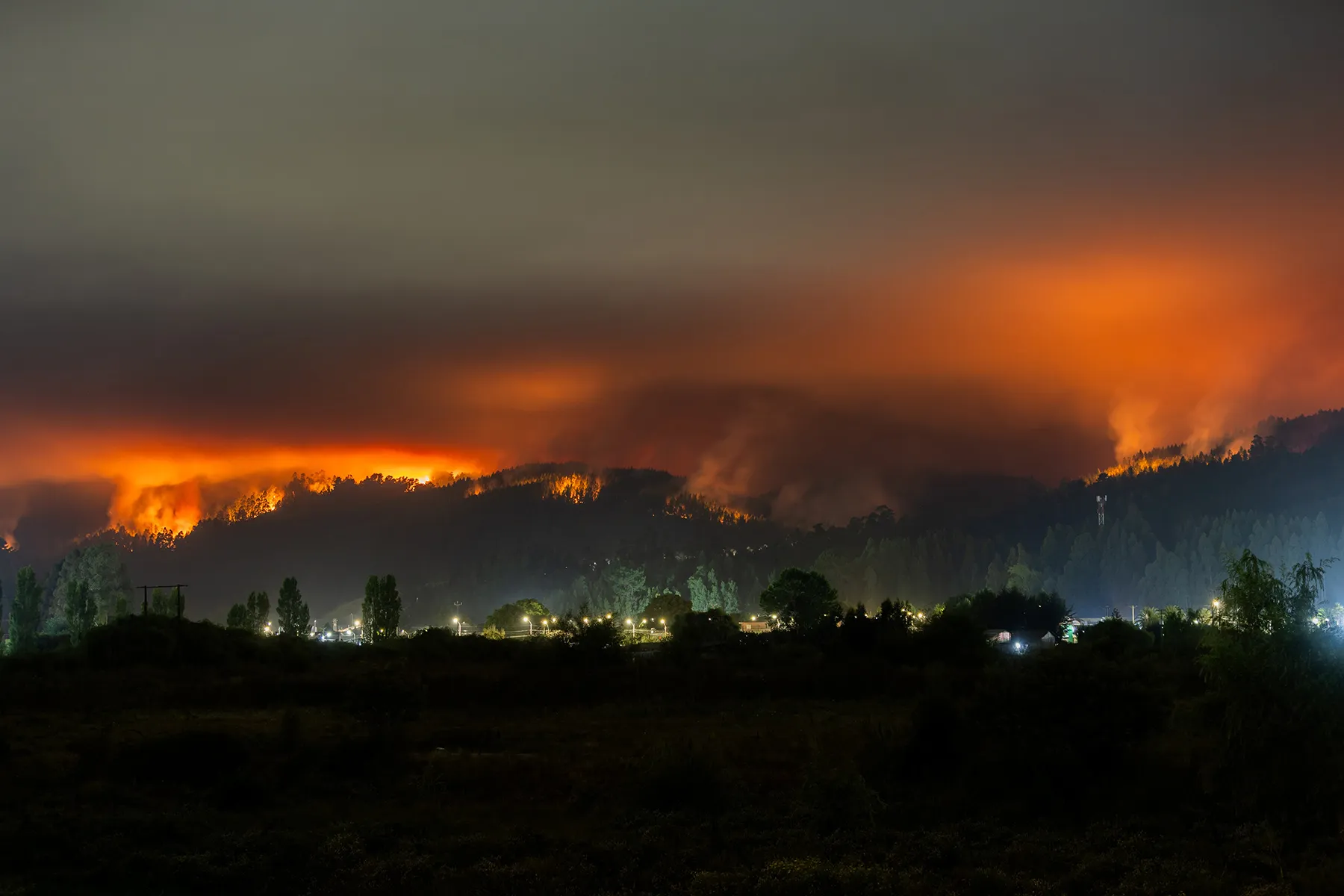 Wildfires in Chile leave at least 19 dead in the Bío Bío and Ñuble ...