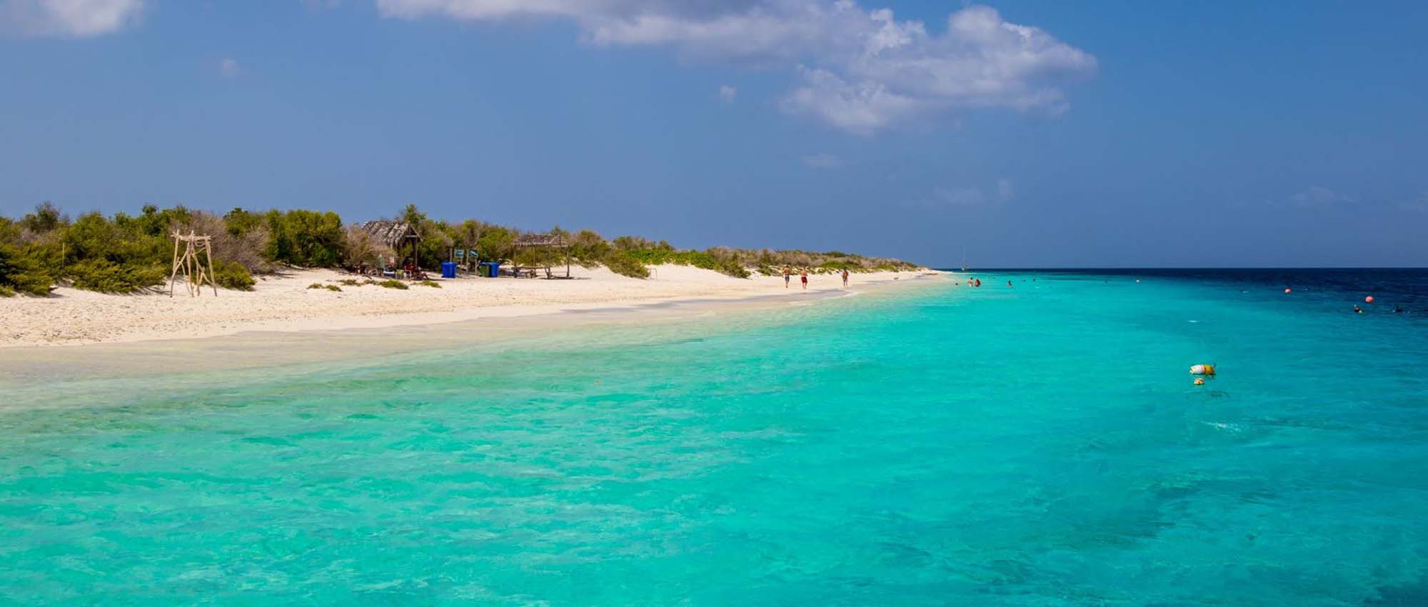 Netherlands must protect the island of Bonaire from climate change by ...