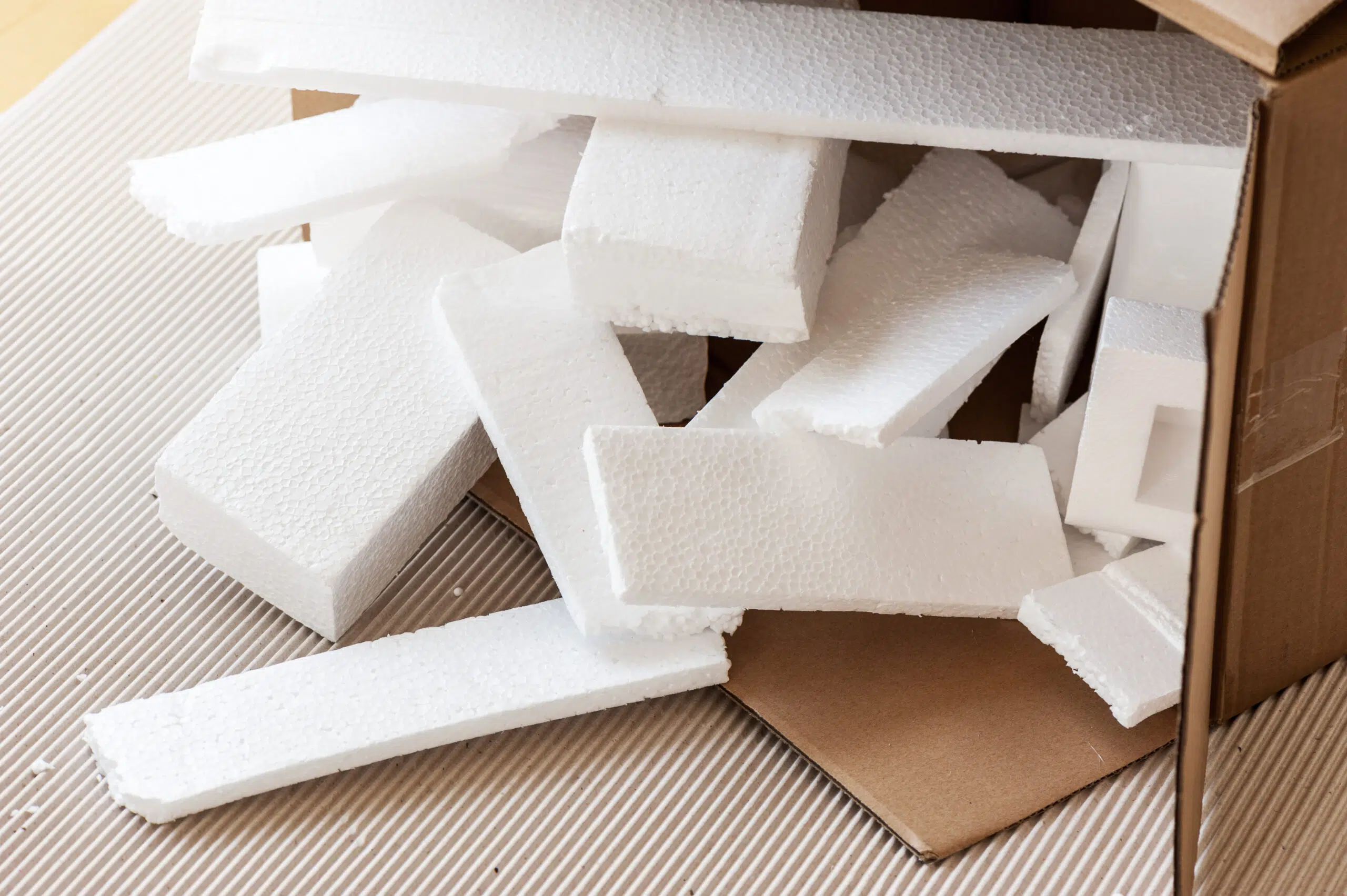 Myzel gegen die Verwendung von Styropor: Nachhaltige Biotechnologie zur ...