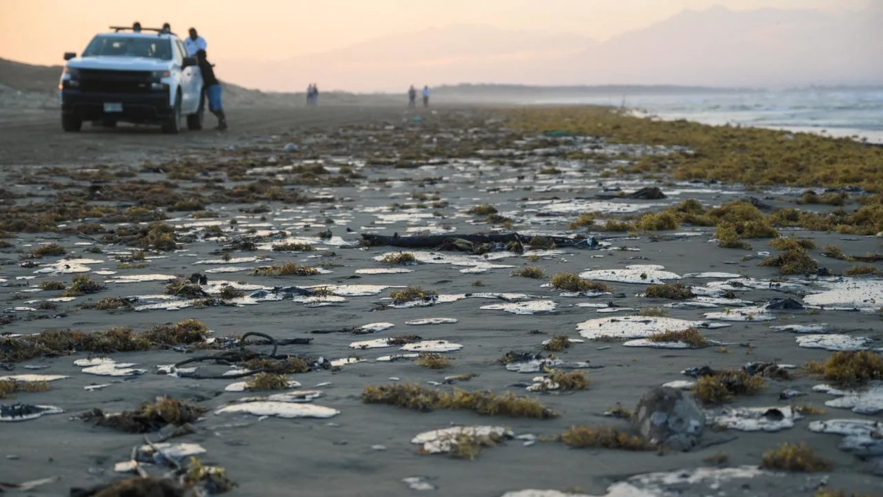 Oil spill in the Gulf of Mexico: 230 km of coastline affected in the ...