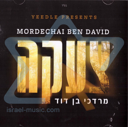 Mordechai Ben David