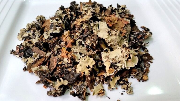 Kalpasi: The Hidden Gem of Spices - Chefs OOkul