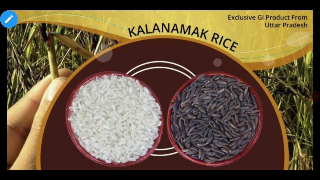 Kalanamak Rice-Unique & Delicious GI Tagged Rice from the land of Buddha.