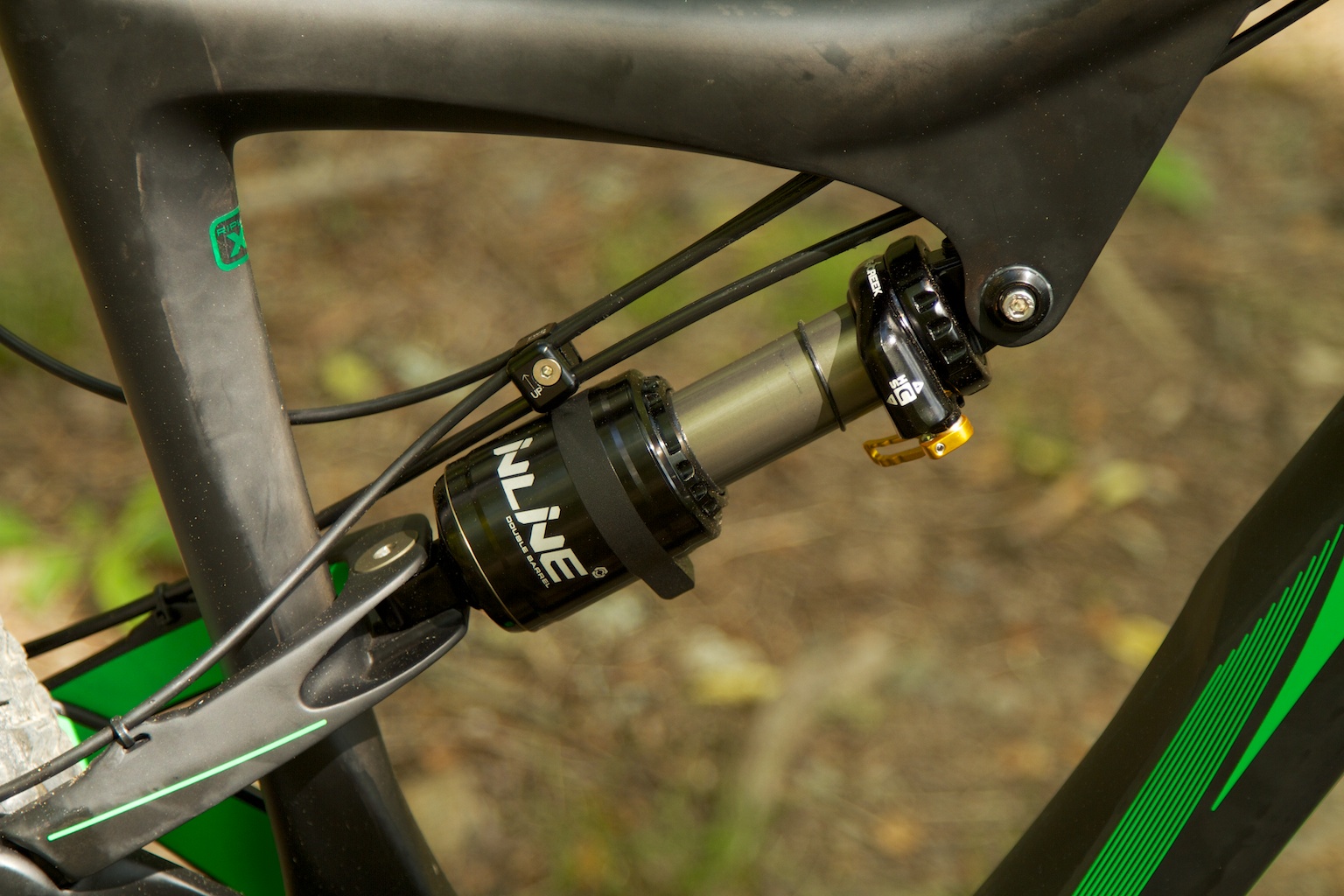 dbinline-ibis-ripley