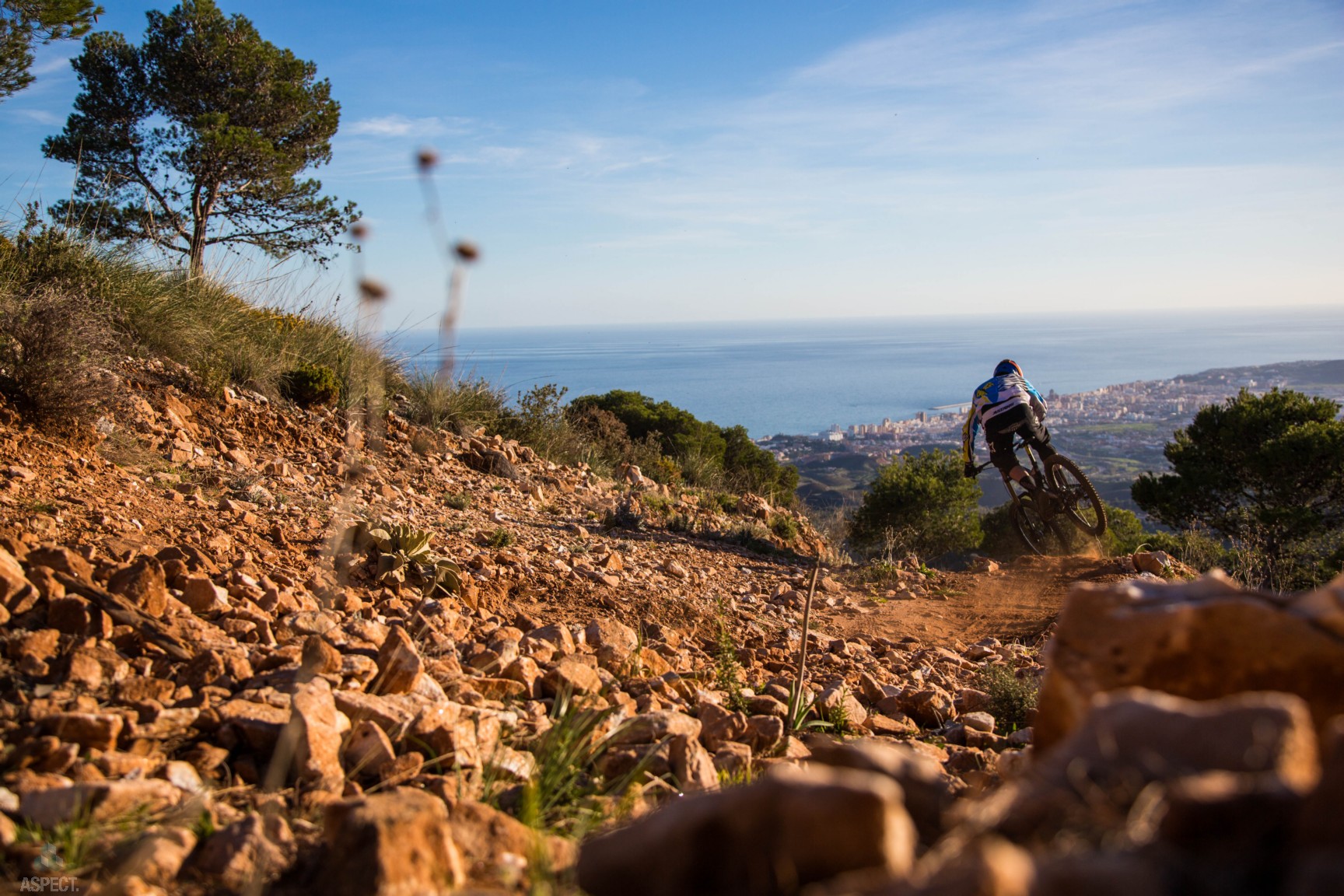 Video: Joe Connell – RoostDH Spain