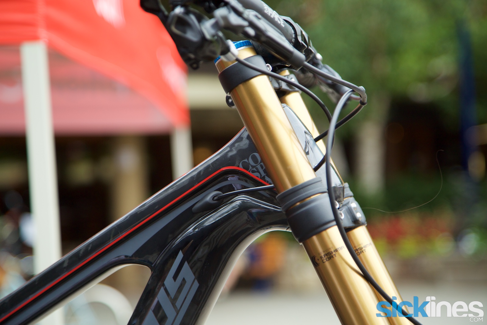 2016 Morpheus Conspiracy Downhill Bike and Vimana Jr Bike