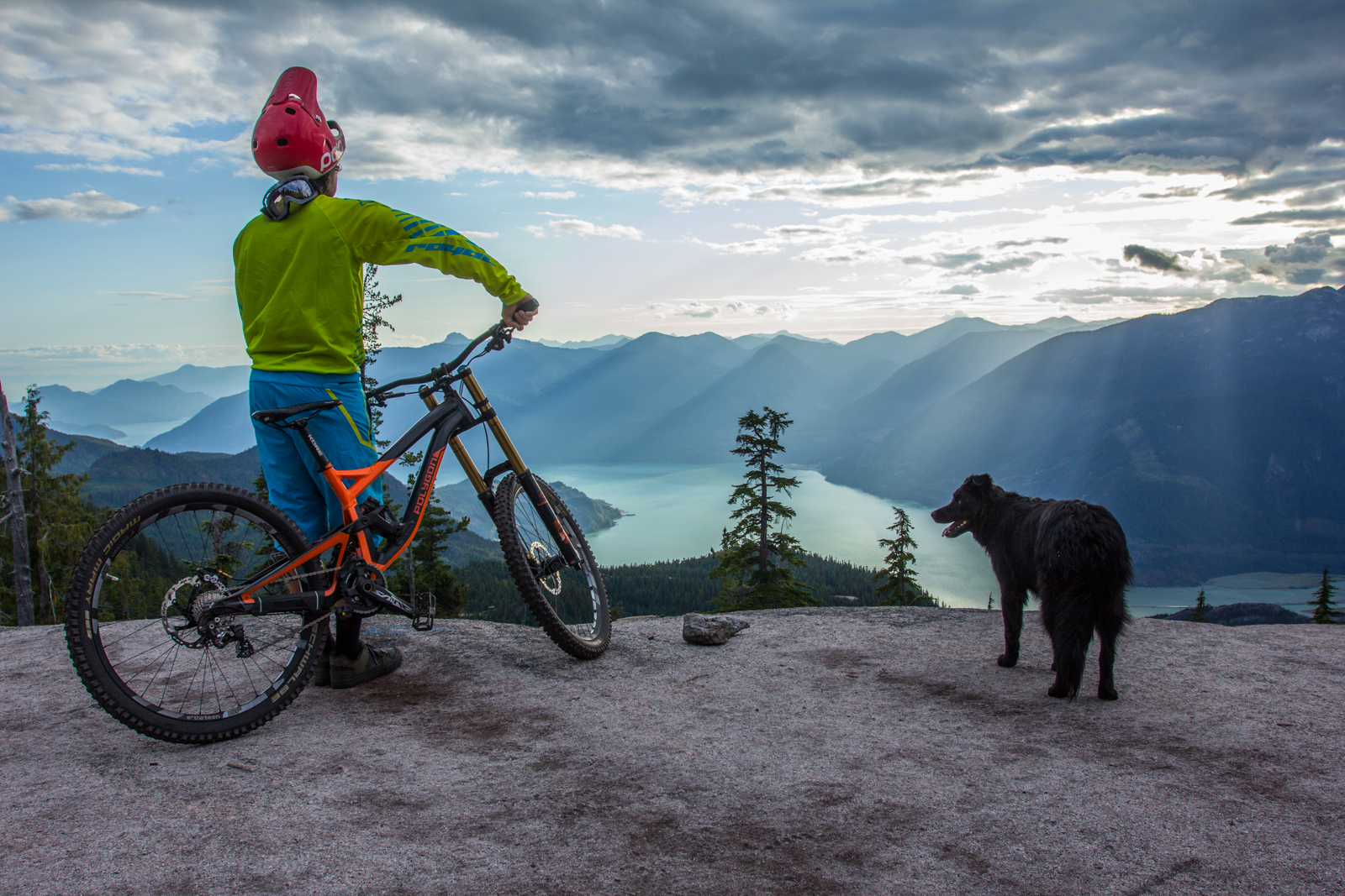 2016 Polygon Collosus DH9 and Collosus DH8 Downhill Bikes