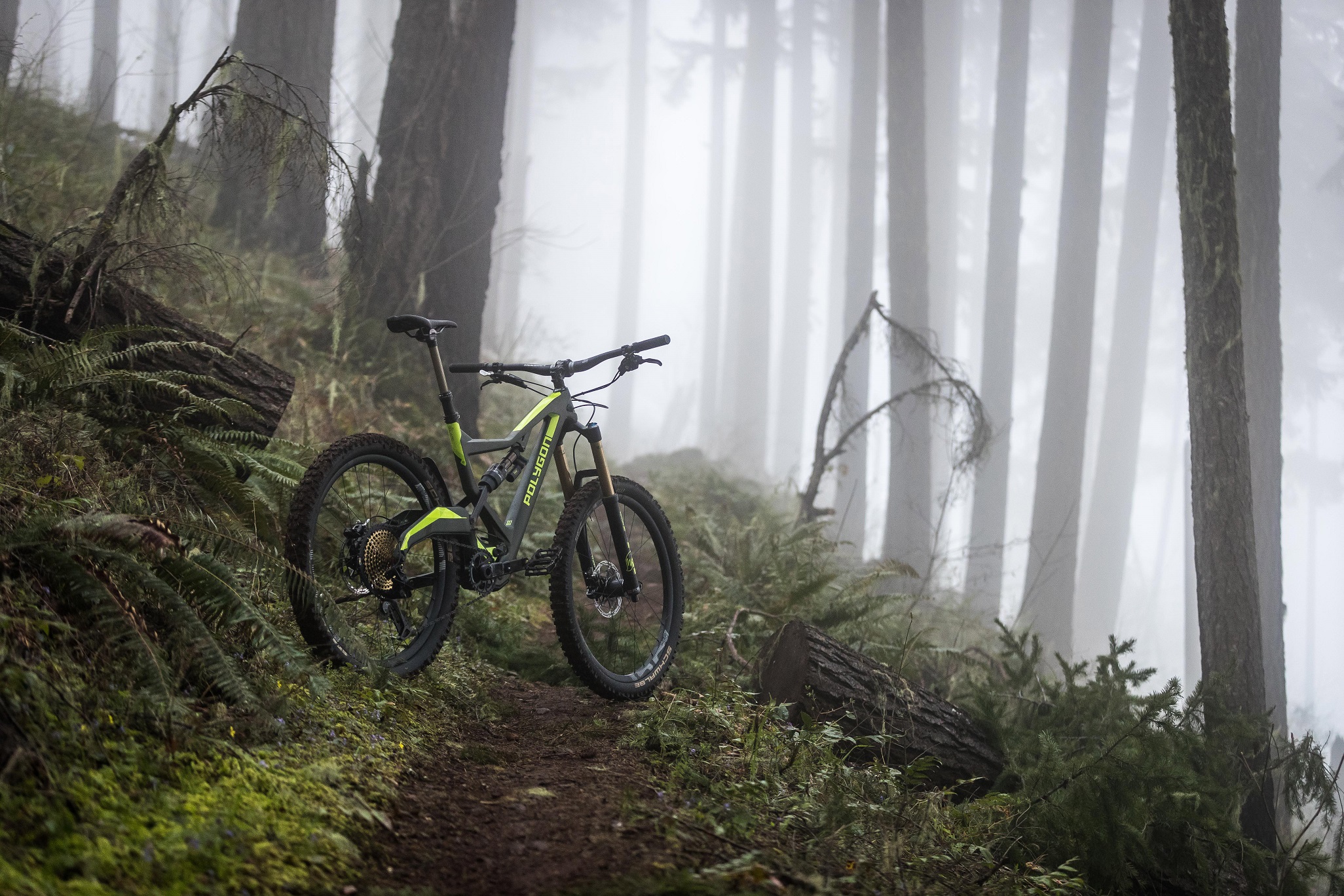 Polygon Square One EX 9 (20)