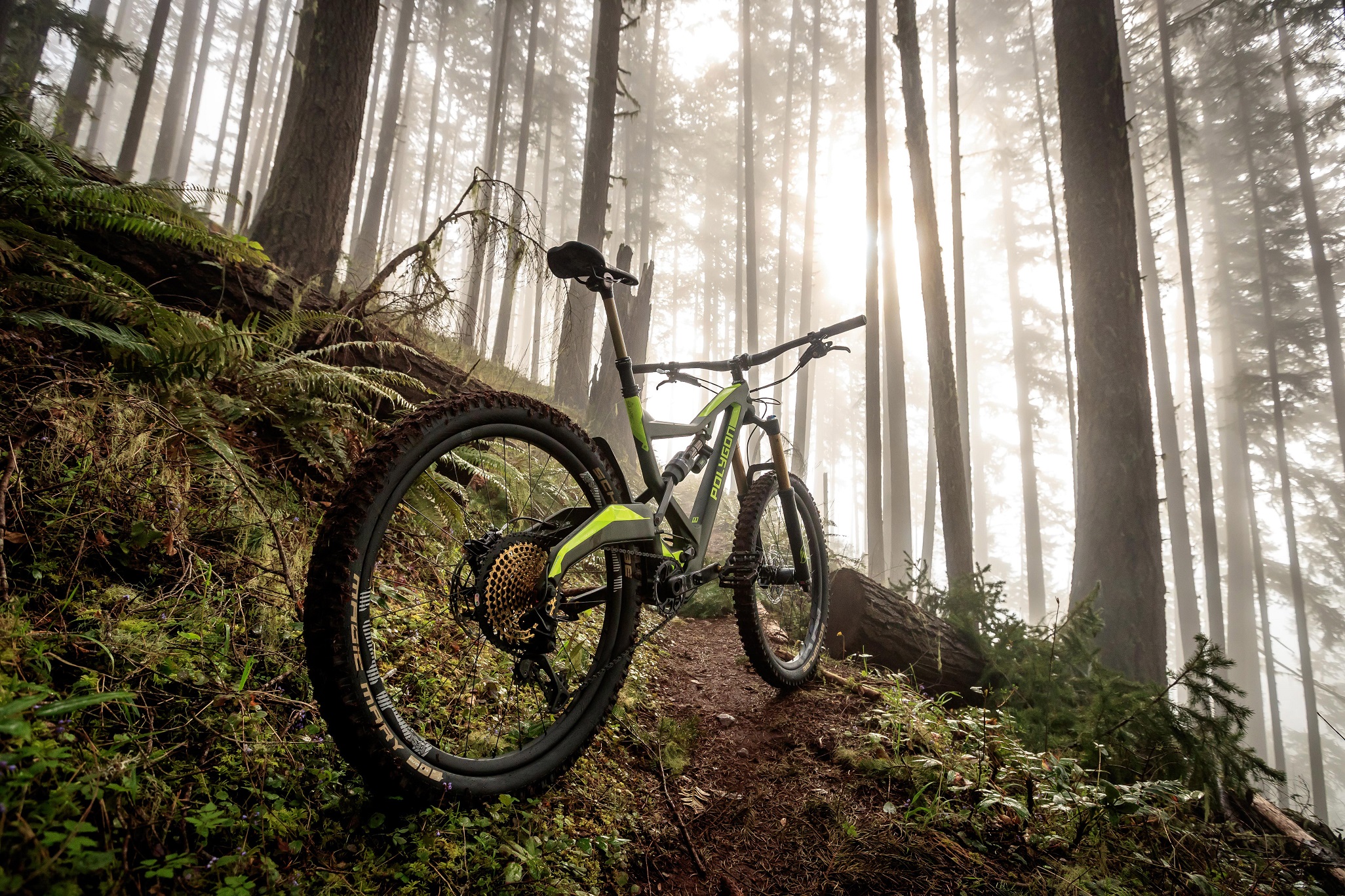 Polygon Square One EX 9 (26)