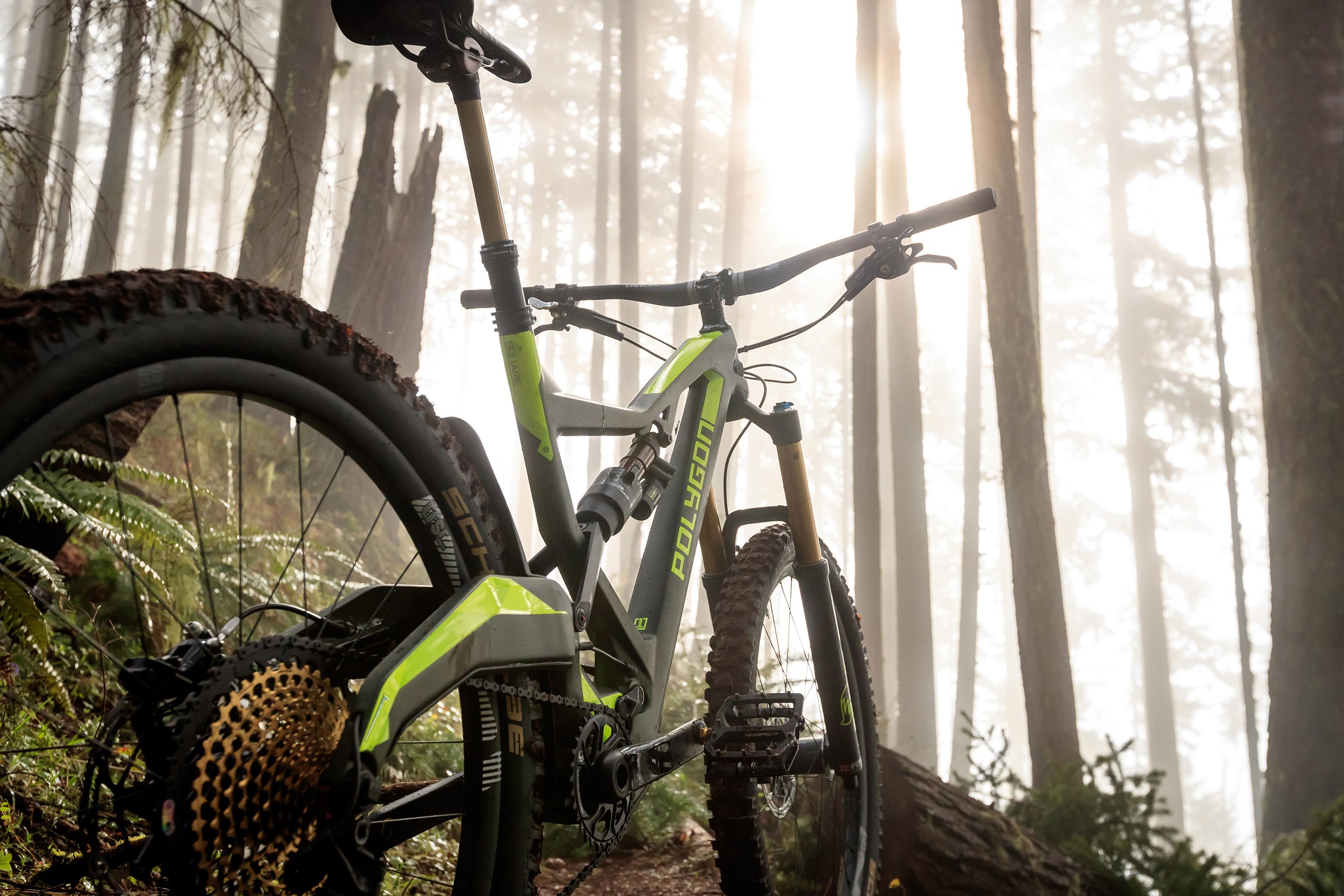 Polygon Square One EX 9 (28)