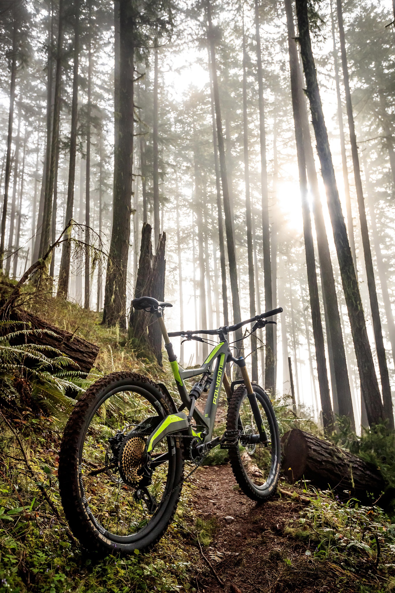 Polygon Square One EX 9 (32)