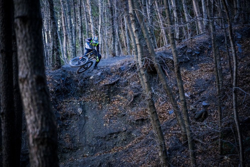 brendan-scott-dh-action