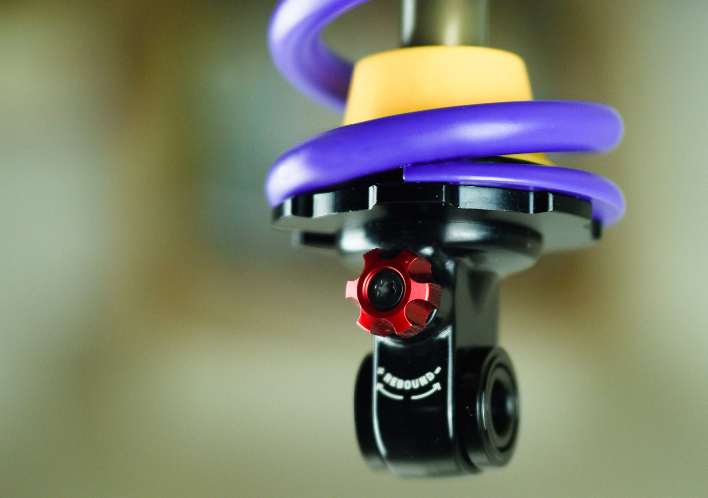 Formula-Mod-shock-2020-_studio-26