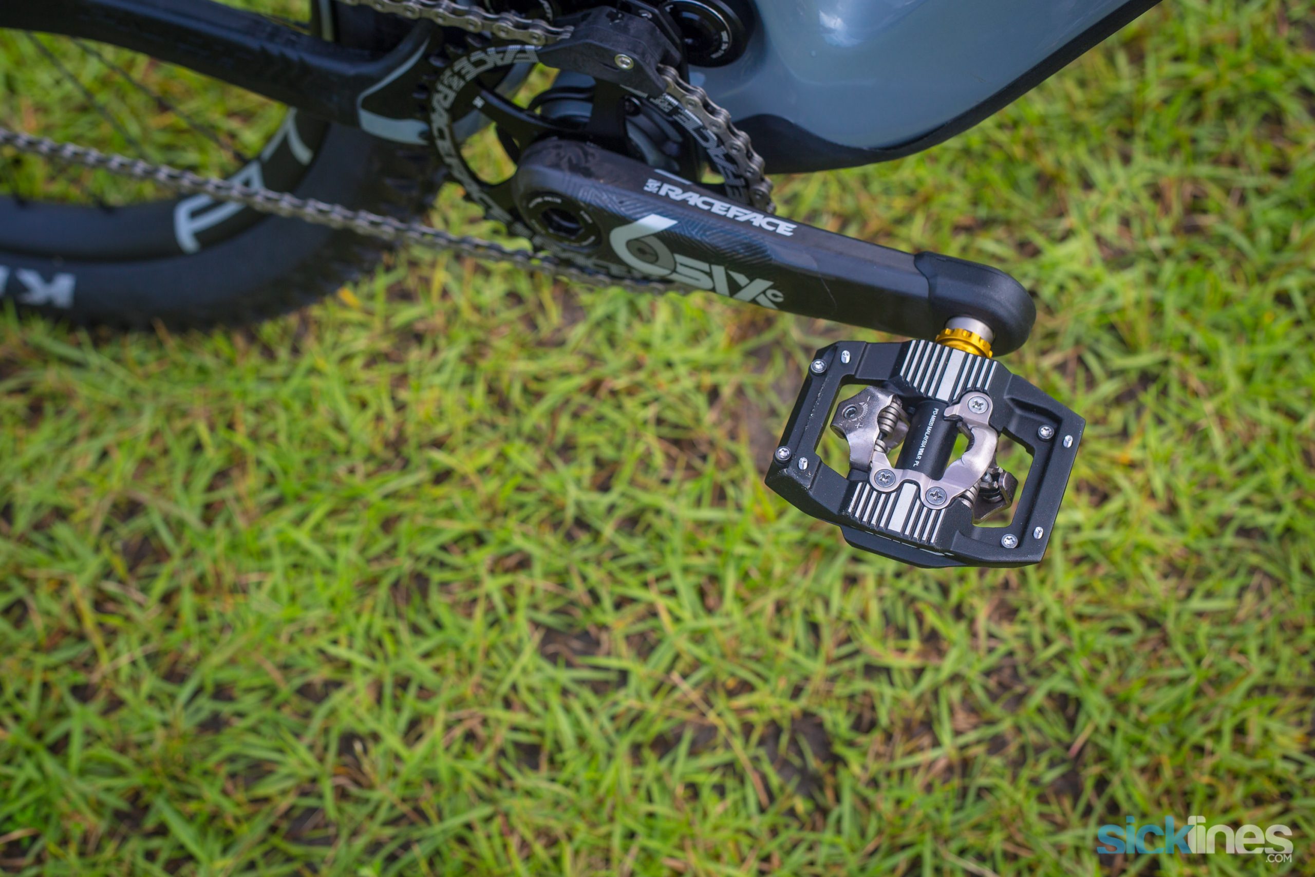 2020-Pivot-Phoenix-29-xl-custom-downhill-59