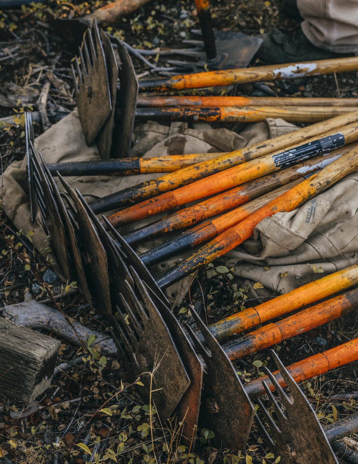 Volunteer trail day on the Elwell trail in Gold Lakes Basin, Ca