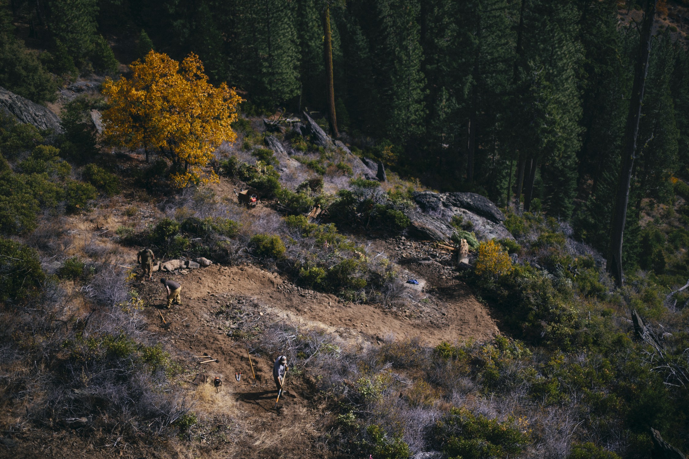 Volunteer trail day on the Elwell trail in Gold Lakes Basin, Ca