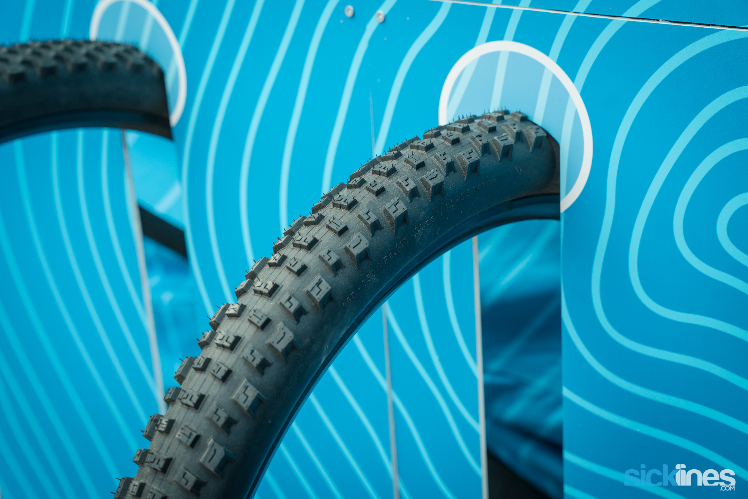 delium-tires-steady-09835