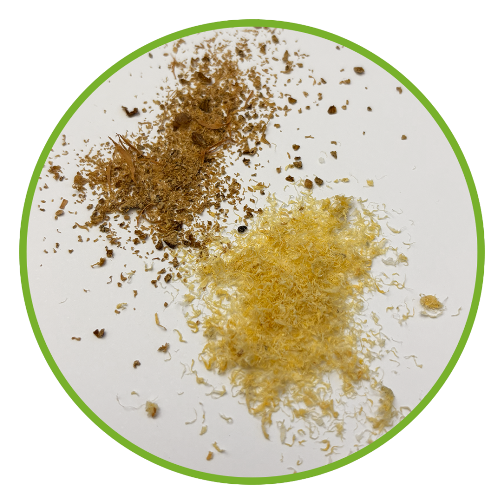 Turning juice residues into valuable resources. - Swedish Exergy Animal ...