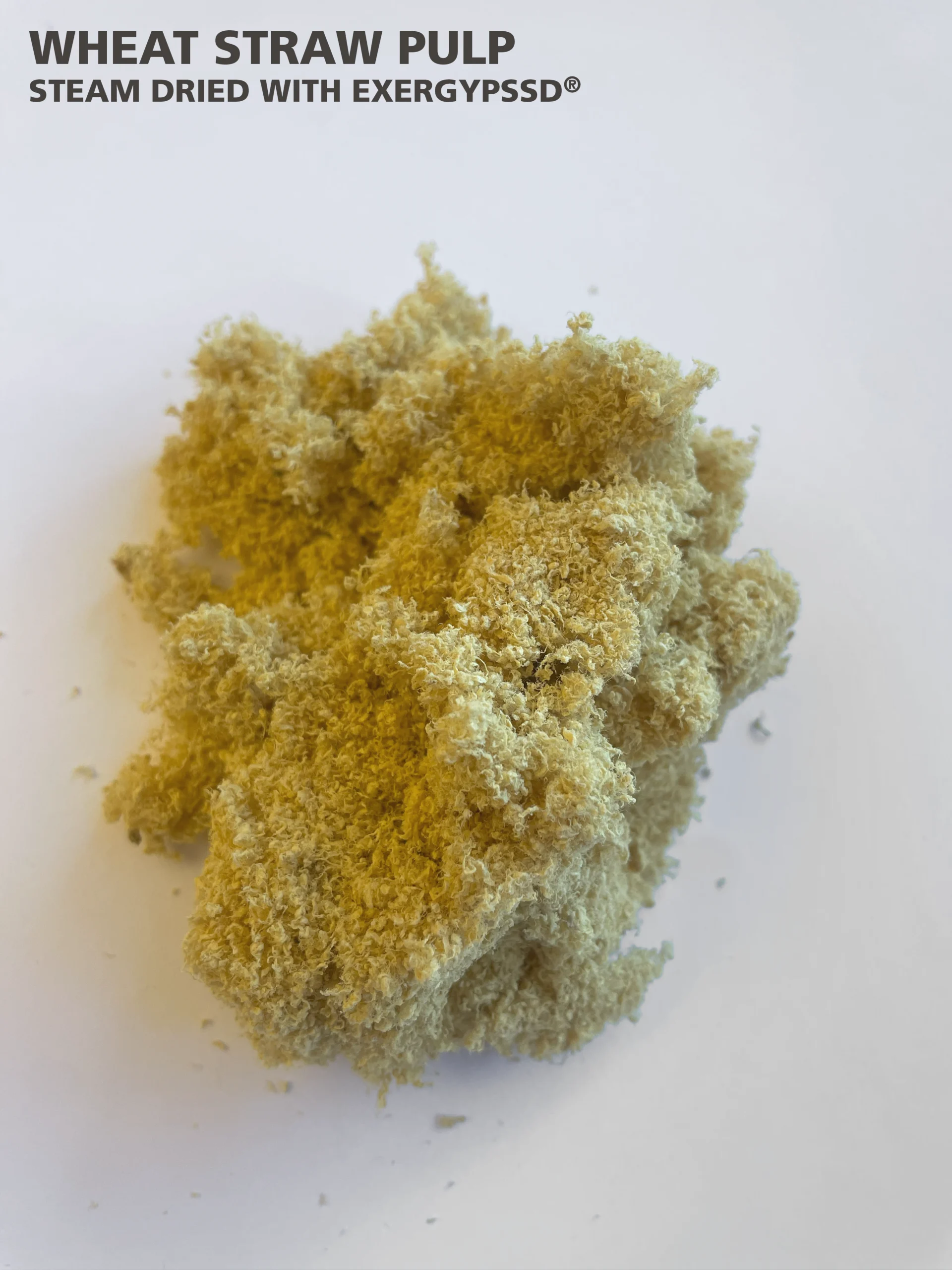 Sustainable industrial process for non-wood pulp - Swedish Exergy