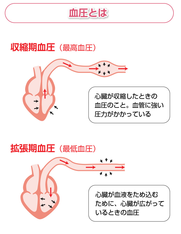 血圧が高いとどうなる？高血圧のリスクや原因、対処法を徹底解説！ | MediPalette