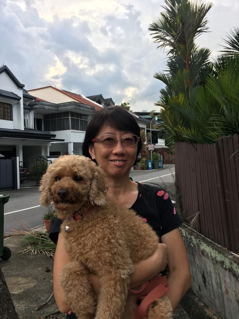 Co-Founder Malina Tjhin of Save our Street Dogs Singapore (SOSD) share ...