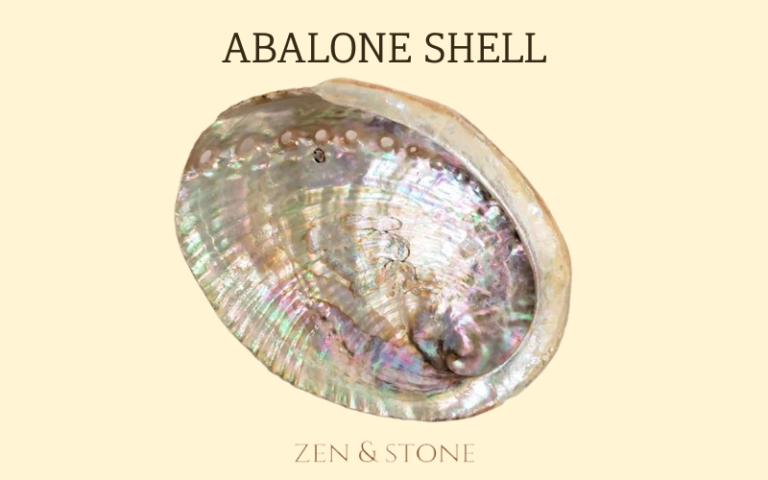 Abalone Shell – Meaning, Uses, & Healing Properties – Zen & Stone