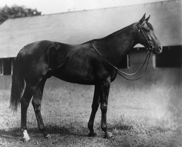 Assault On The Triple Crown – King Ranch Saddle Shop