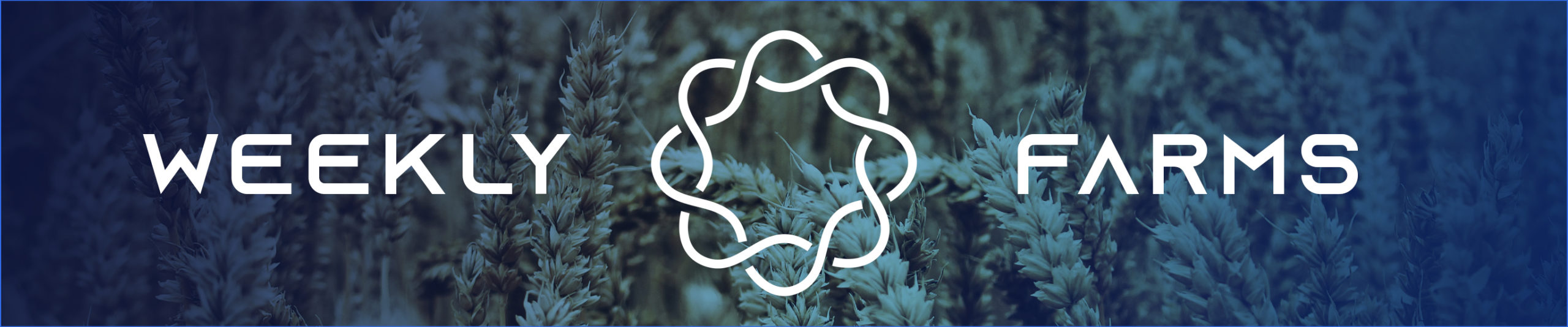 Weekly Farms #1 - Delphi Digital