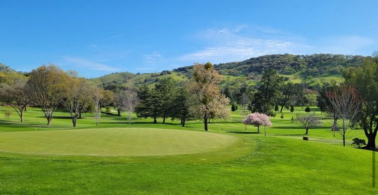 Green Valley CC - Round for 4