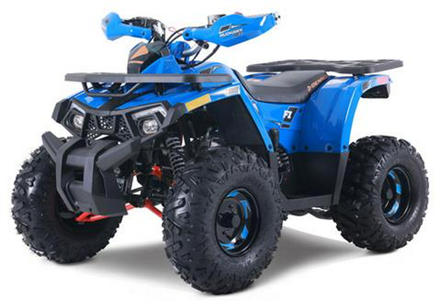 2026 Denago Powersports Mudhawk 10fi For Sale In Avon In