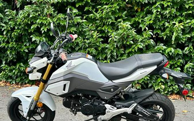 Used Honda Grom motorcycles for sale - MotoHunt