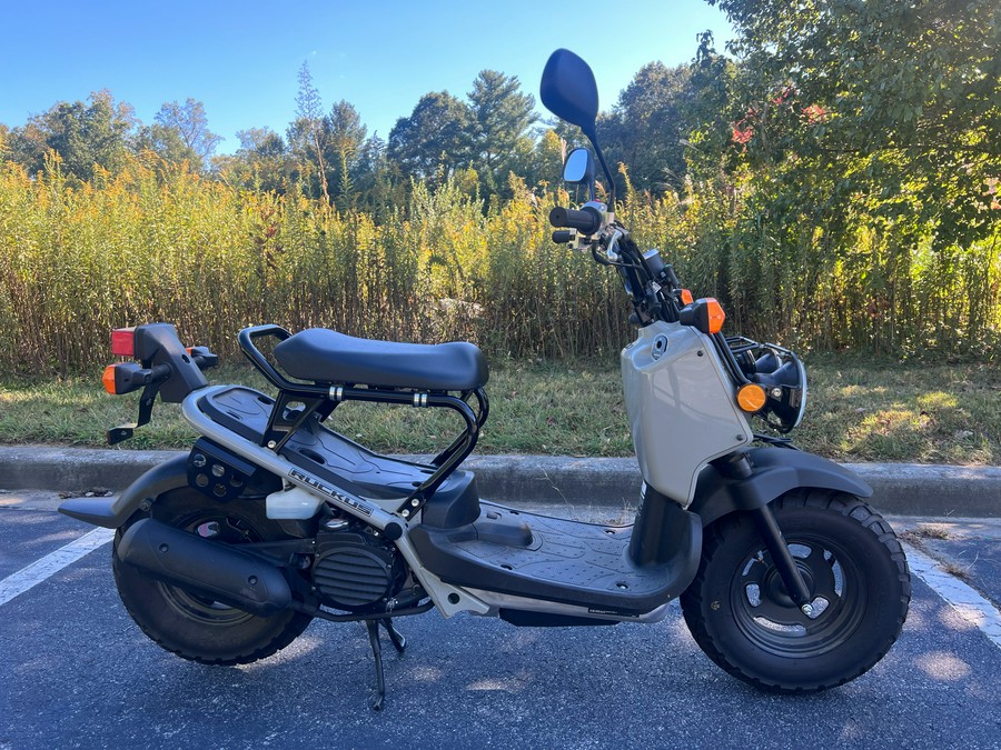 2022 Honda Ruckus for sale in Hendersonville, NC
