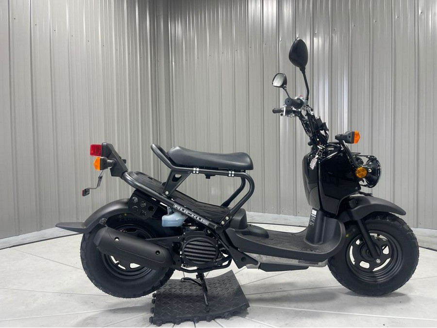 2024 Honda RUCKUS 50 for sale in Jonestown, PA