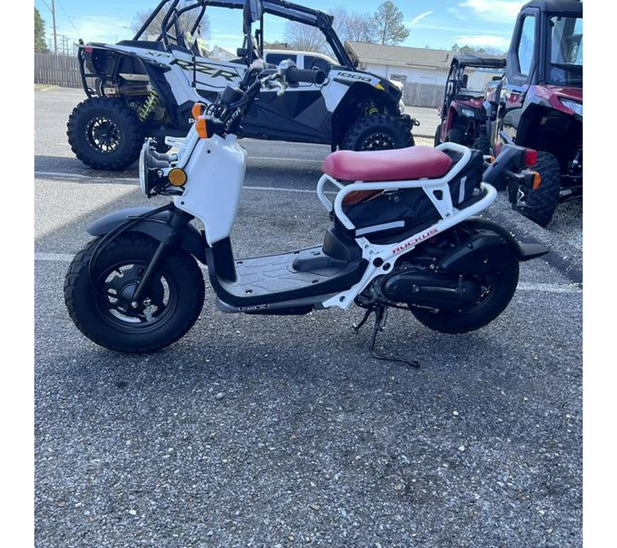 2019 Honda® RUCKUS 50 for sale in Memphis, TN