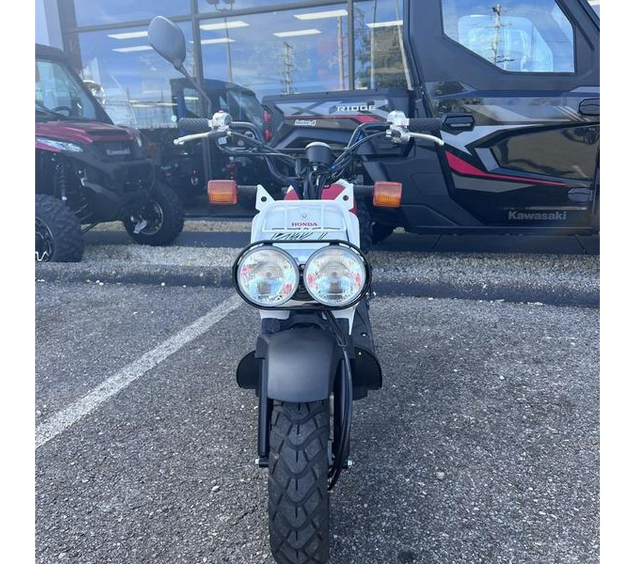 2019 Honda® RUCKUS 50 for sale in Memphis, TN